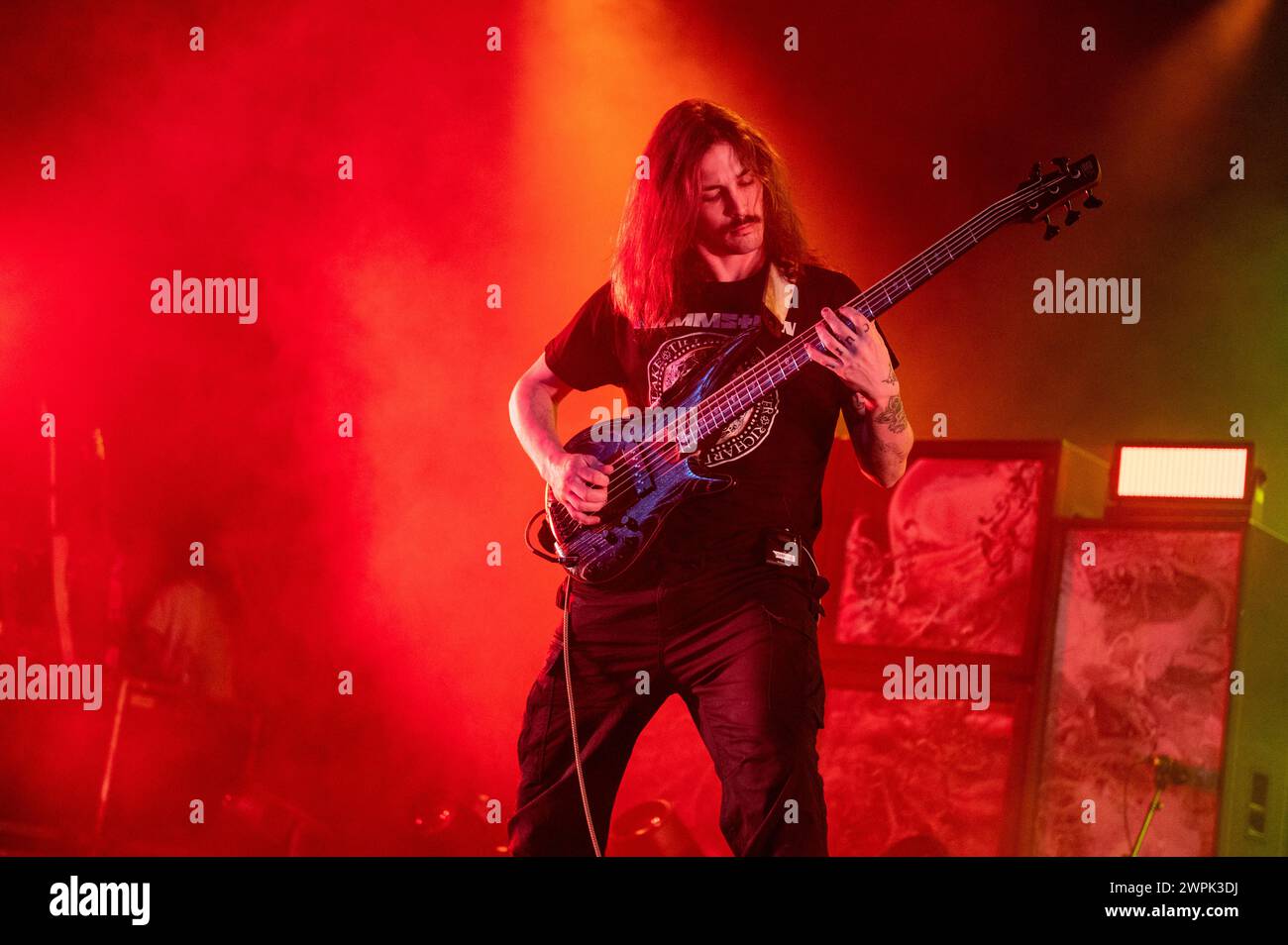 Polyphia hi-res stock photography and images - Alamy