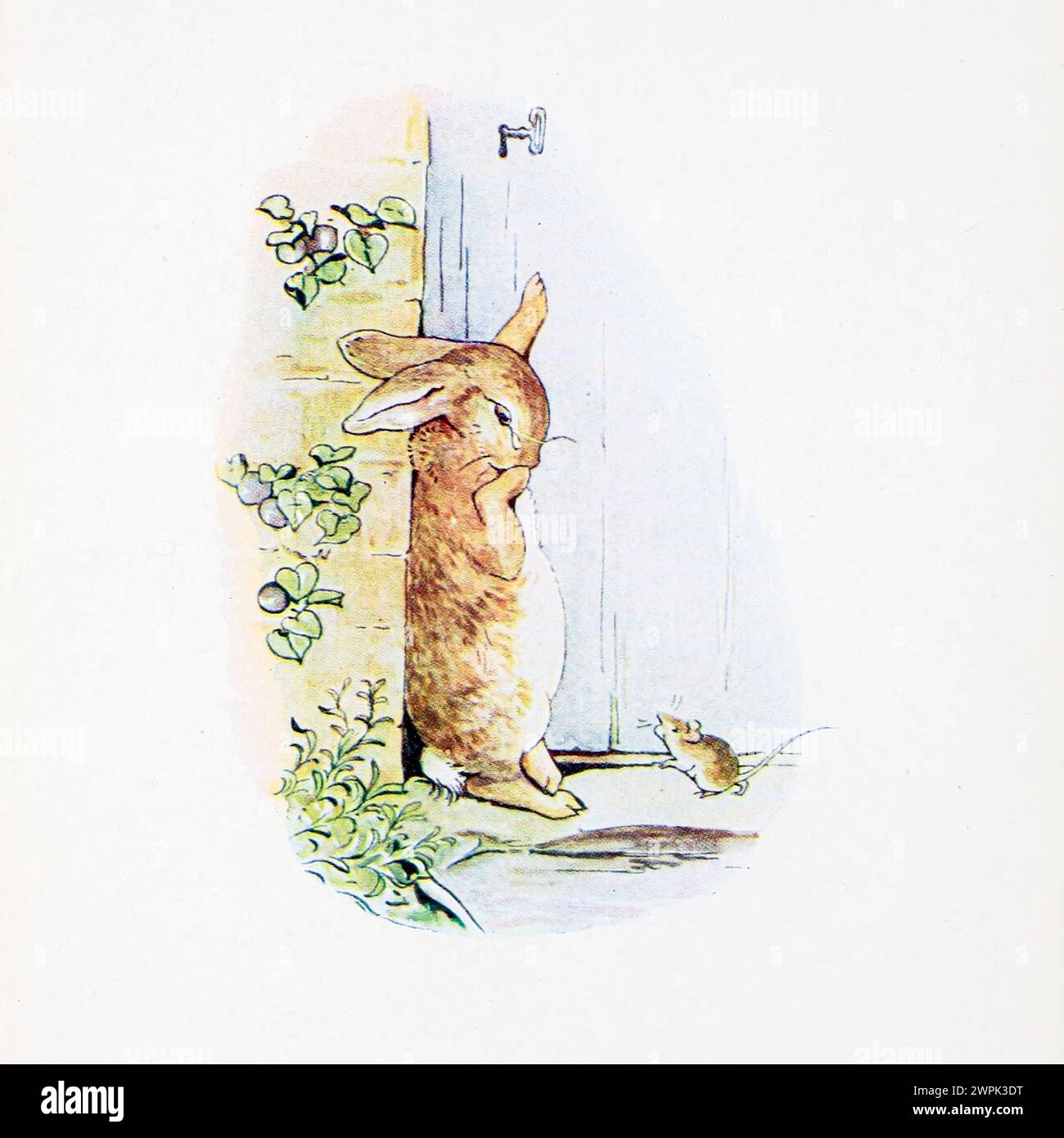 Beatrix potter illustration garden hi-res stock photography and images ...