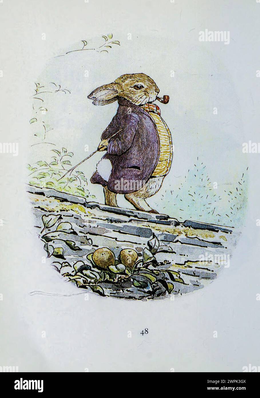 The Tale of Benjamin Bunny is a children's book written and illustrated ...