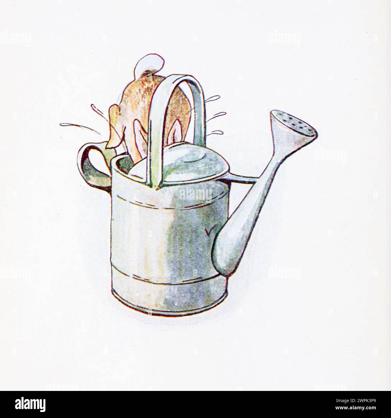 The Tale of Peter Rabbit a children's book written and illustrated by ...