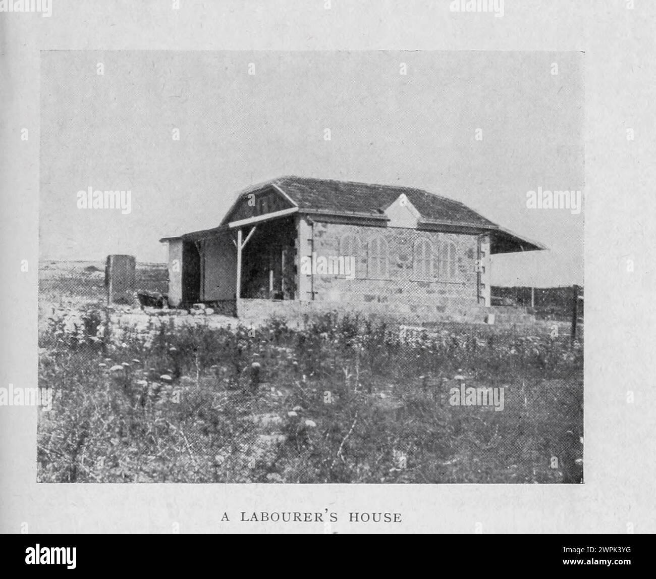 a labourer's house Palestine, the rebirth of an ancient people, by ...
