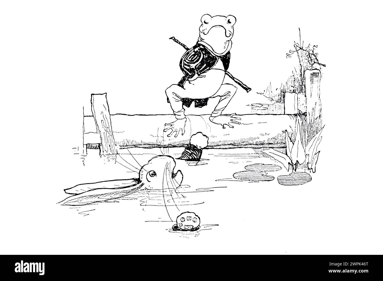 Peter rabbit drawing hi-res stock photography and images - Alamy