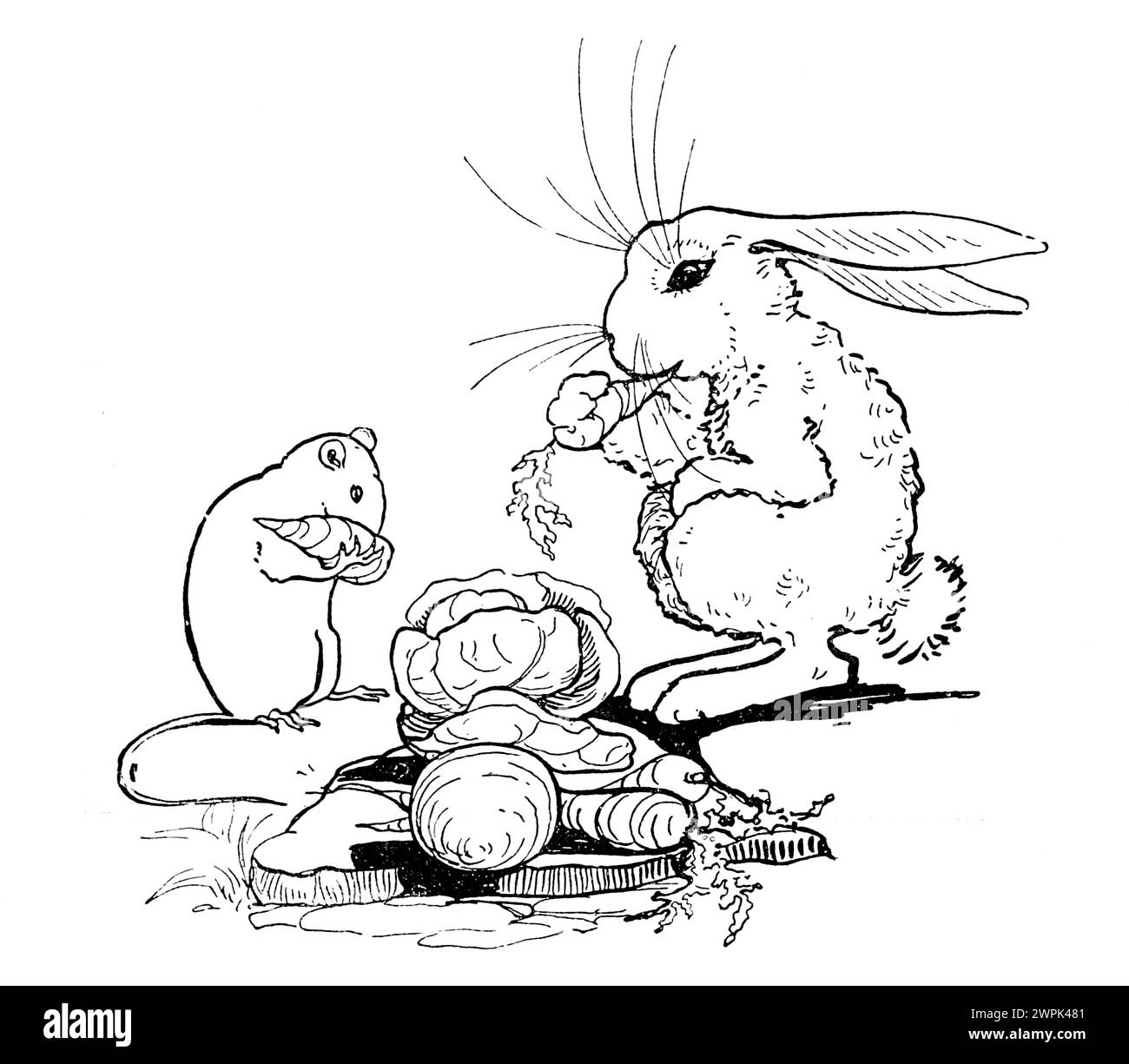 Peter rabbit drawing hi-res stock photography and images - Alamy