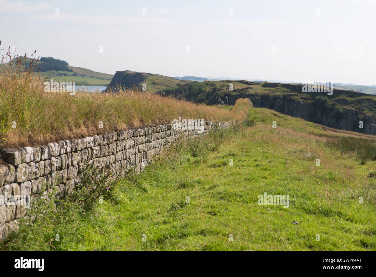 UK, Scotland, Hadrians wall near Housesteads Stock Photo - Alamy