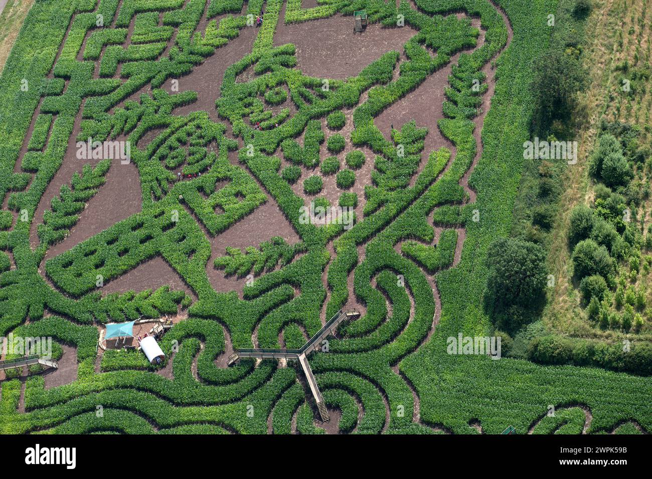 09/07/14 A ten acre field of maize is turned into a giant scarecrow ...