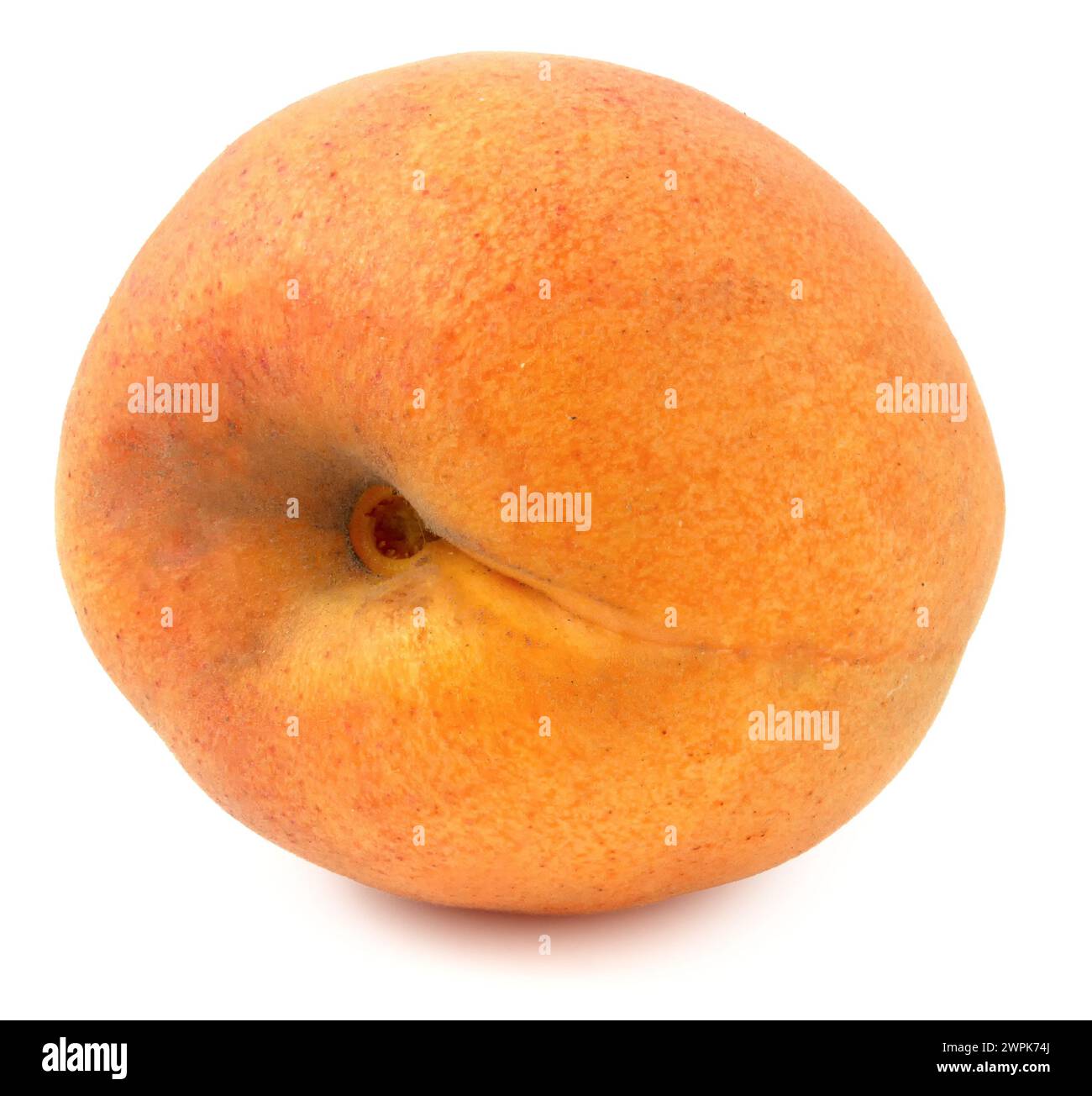 Fresh apricot isolated on white background Stock Photo - Alamy