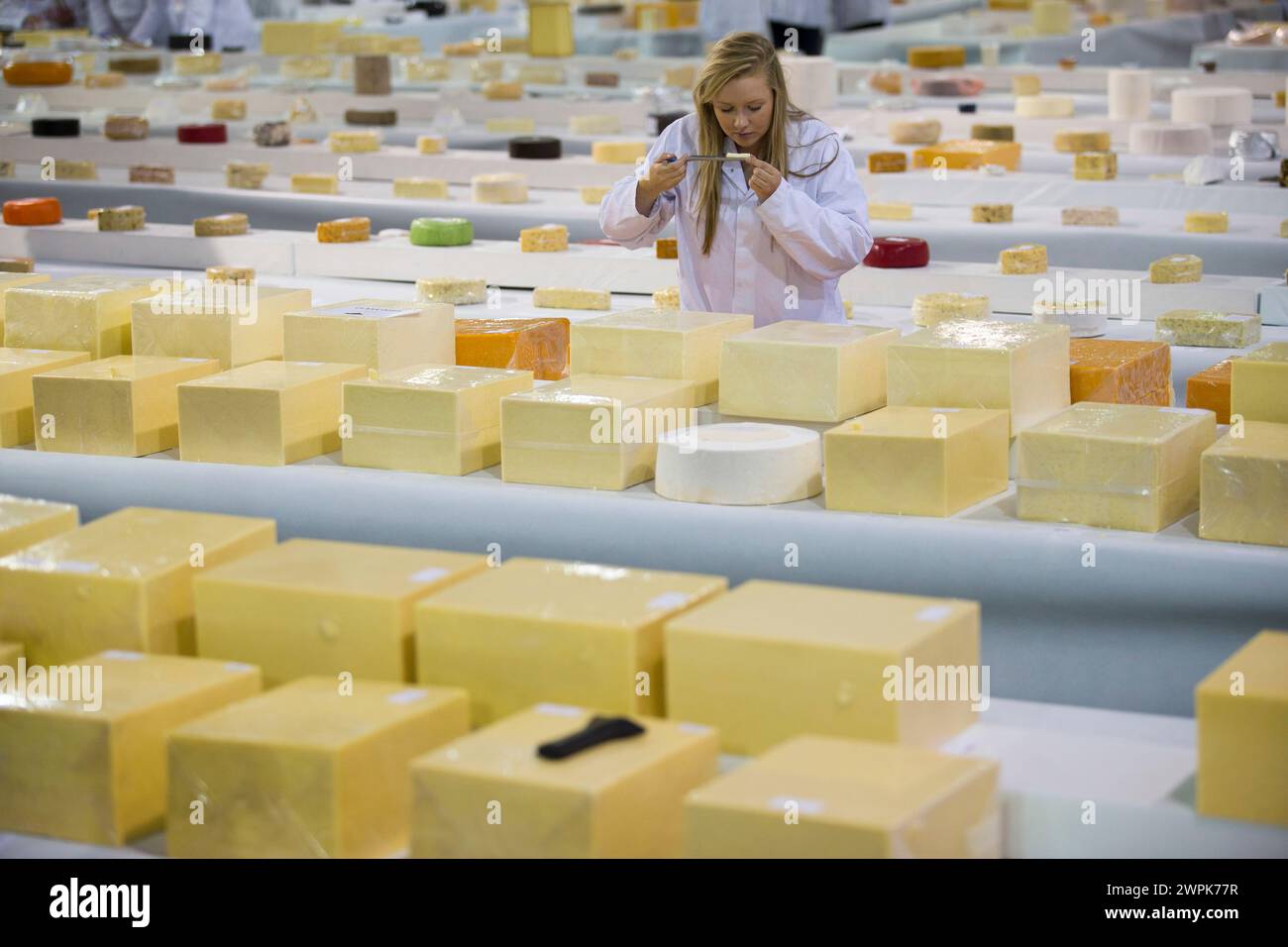 26/07/14 Cheese Judge, Emily Oldfield, 22, tastes a cheese at the World ...