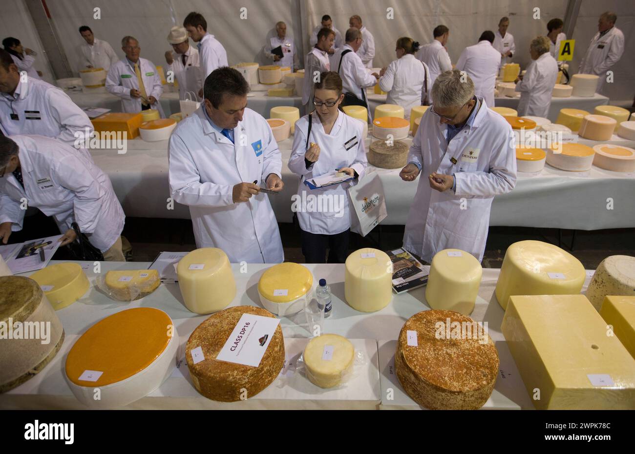 26/07/14 Cheese judges taste cheeses at the World's largest cheese show ...