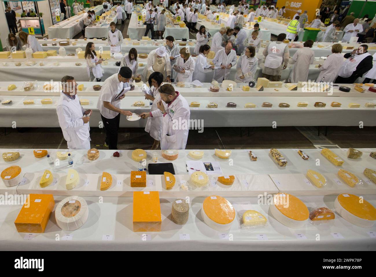 26/07/14 Cheese judges taste cheeses at the World's largest cheese show ...