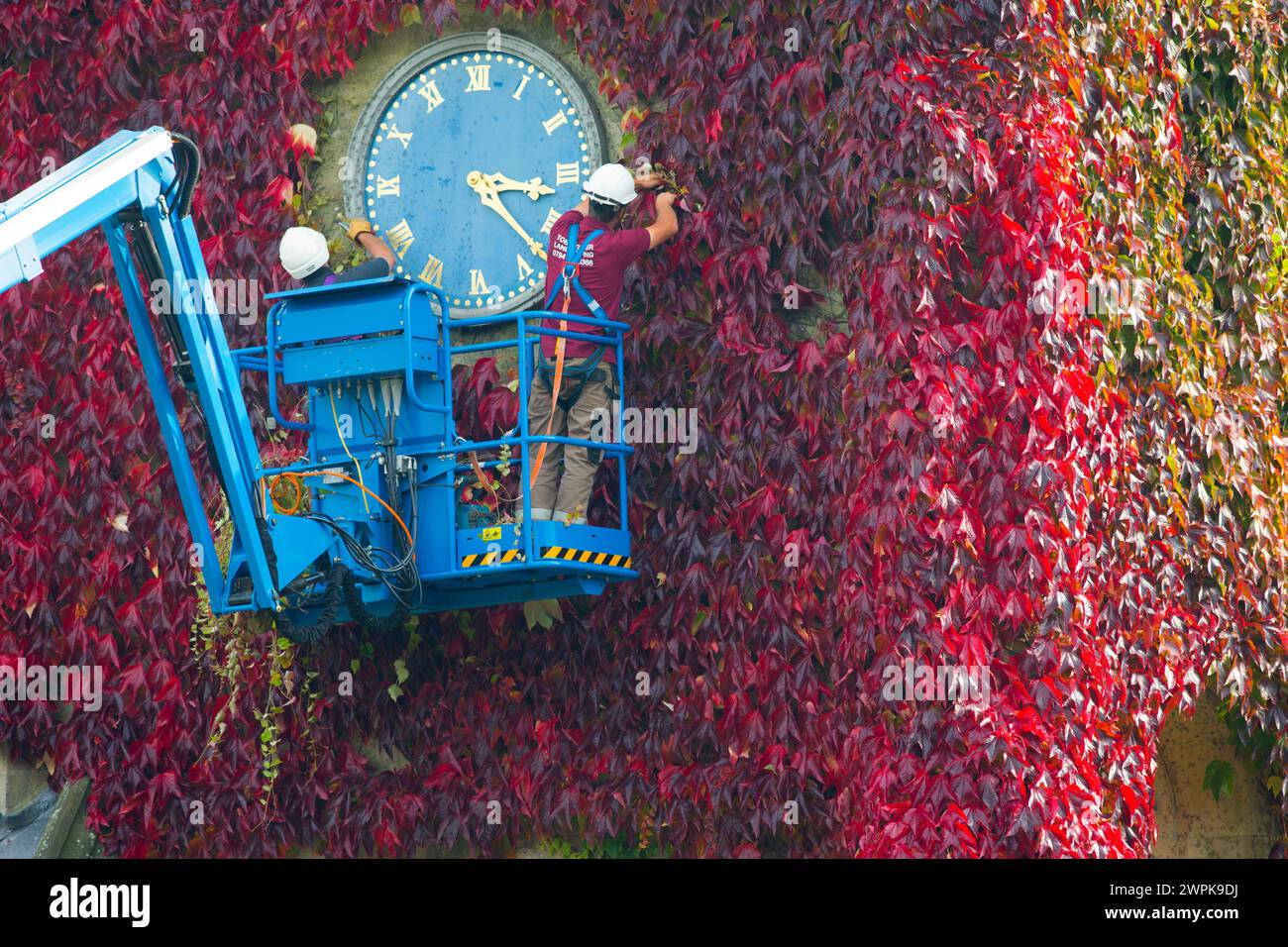 Auyumn colour hi-res stock photography and images - Alamy