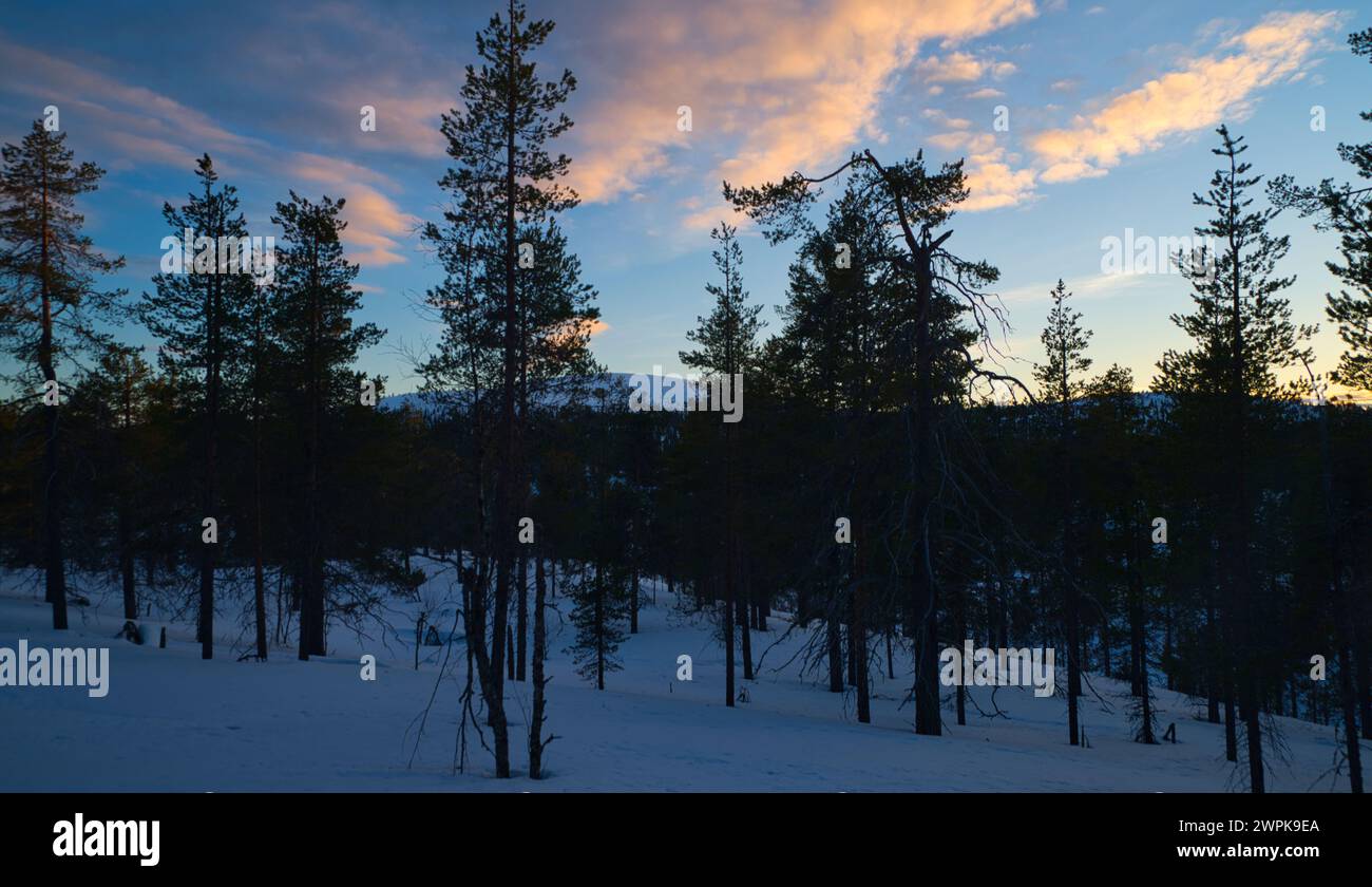 Sunset scene in Pallas-Yllästunturi National Park, Muonio, Lapland ...