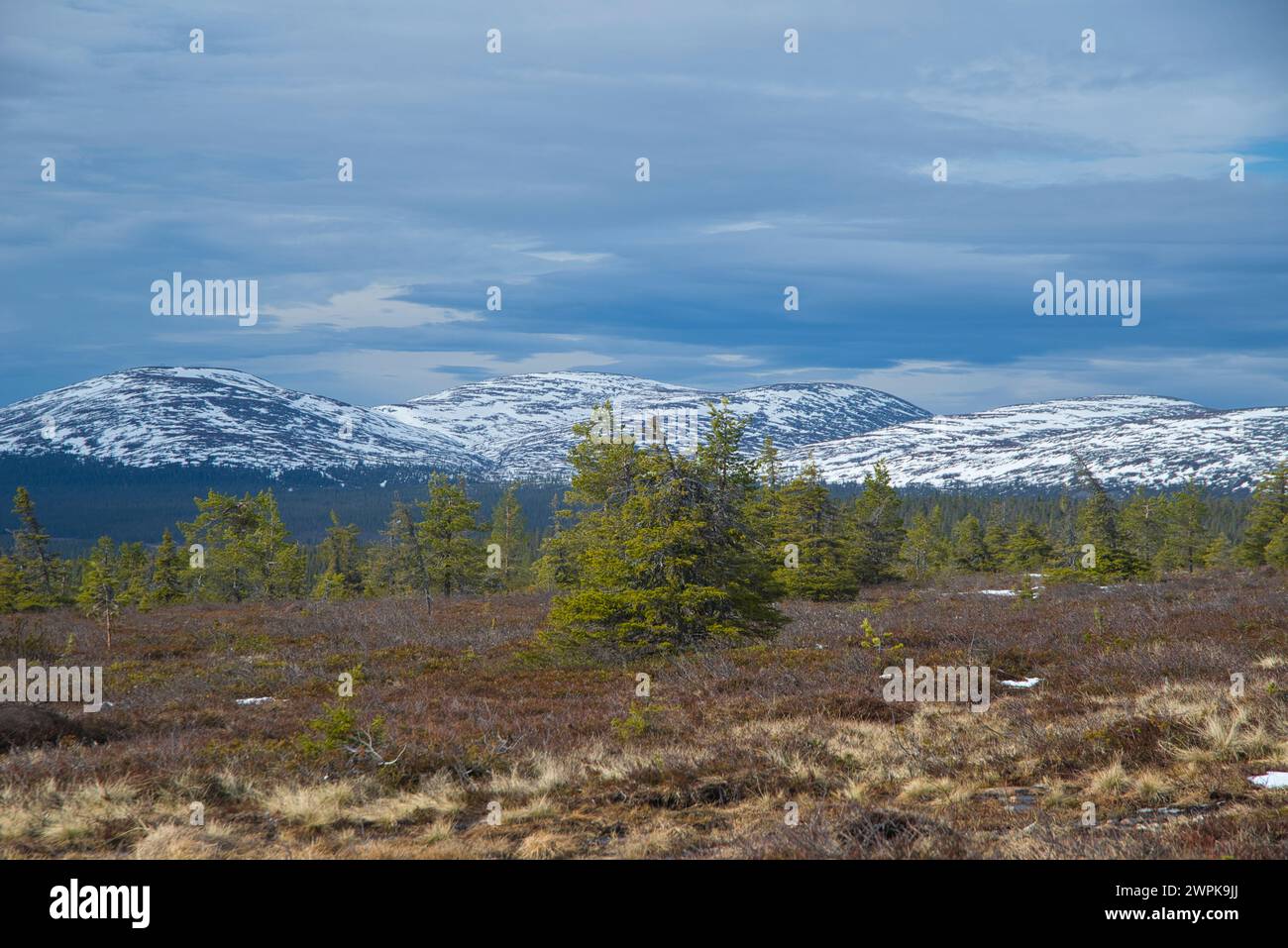 Pallas fells seen from Sammaltunturi fell in Pallas-Yllästunturi ...