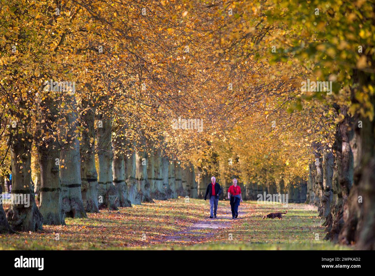 Holly jane hi-res stock photography and images - Alamy