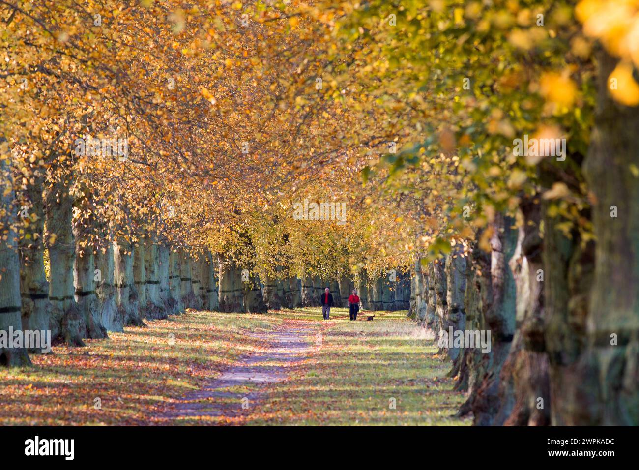 Holly jane hi-res stock photography and images - Alamy