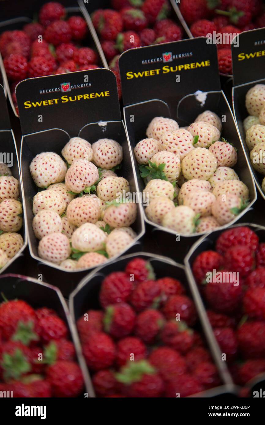 05/11/14 Pineberries and strasberries. Is it a pineapple? Is it a ...