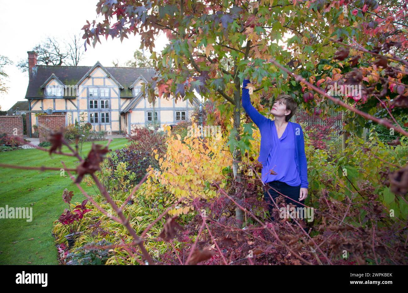 06/11/14 Michele Blundell. How one coupleÕs labour of love has ...