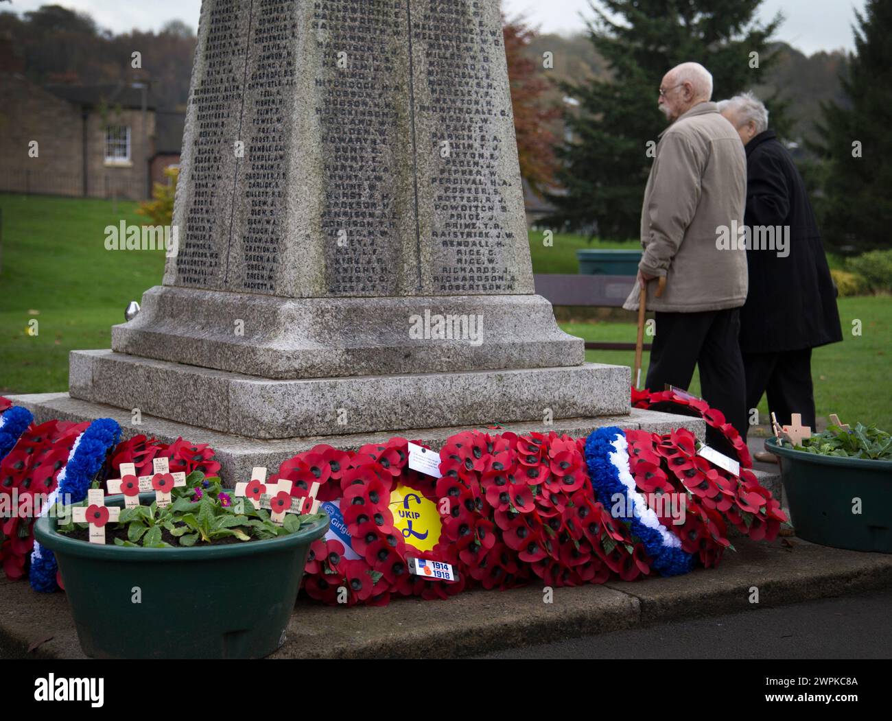 10/11/14 ****Commission Assigned - FAO Matthew Fearn*** UKIP poppy ...