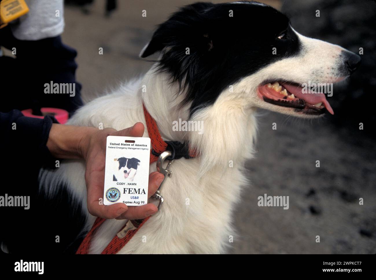 Urban search and rescue hi-res stock photography and images - Alamy