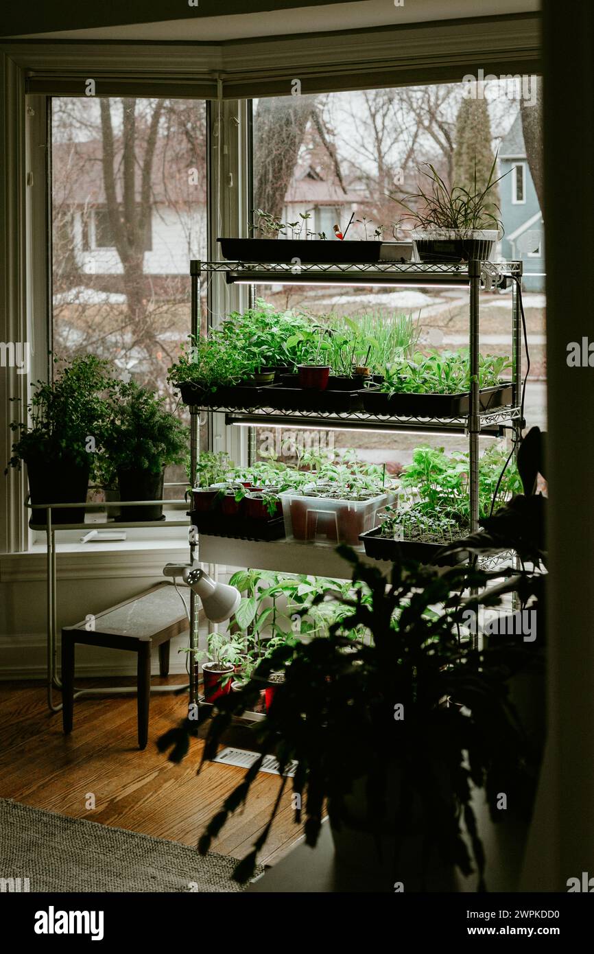 Gardening setup hi-res stock photography and images - Alamy