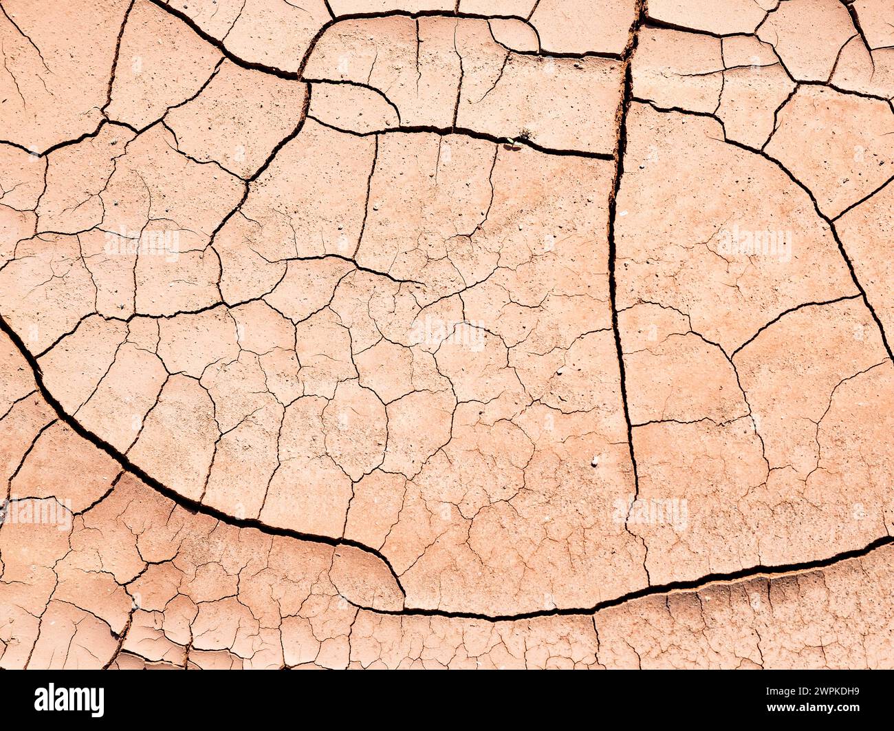 Curious textures of the cracked earth Stock Photo - Alamy