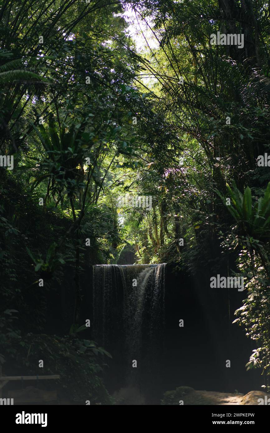Suwat waterfall in the jungle Bali Stock Photo - Alamy
