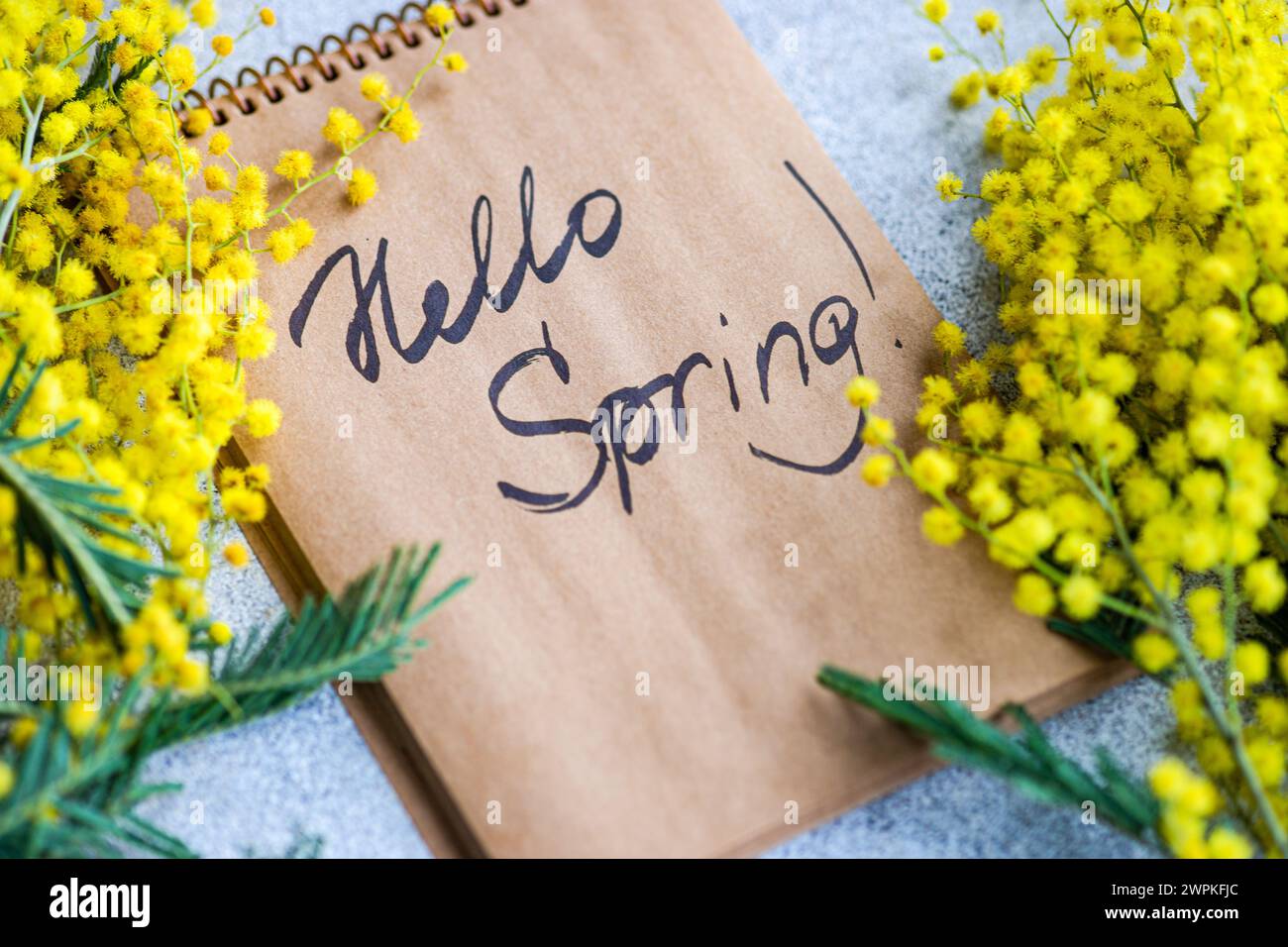 Hello Spring note with bright mimosa flowers on concrete background ...