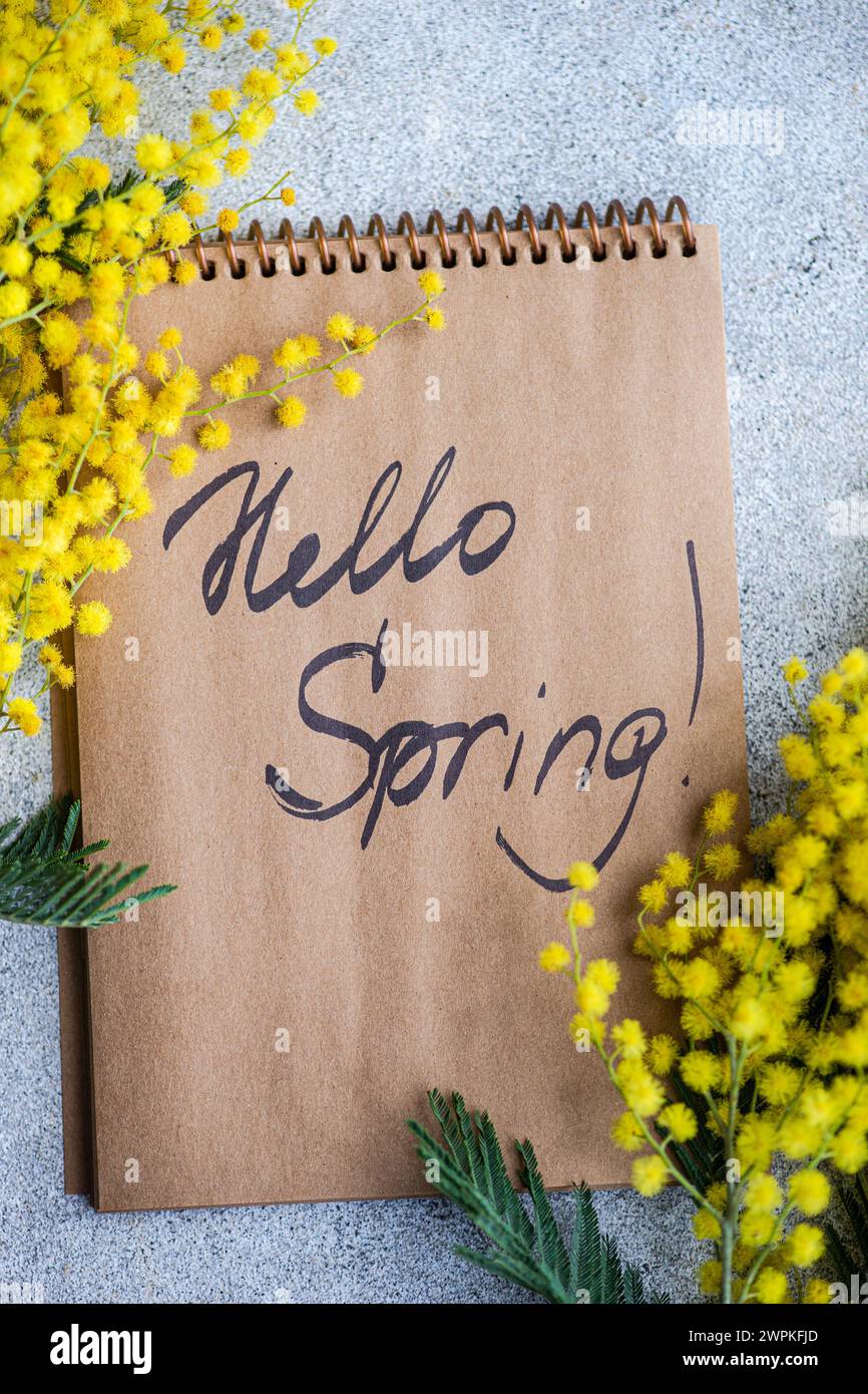 Hello Spring note with bright mimosa flowers Stock Photo - Alamy