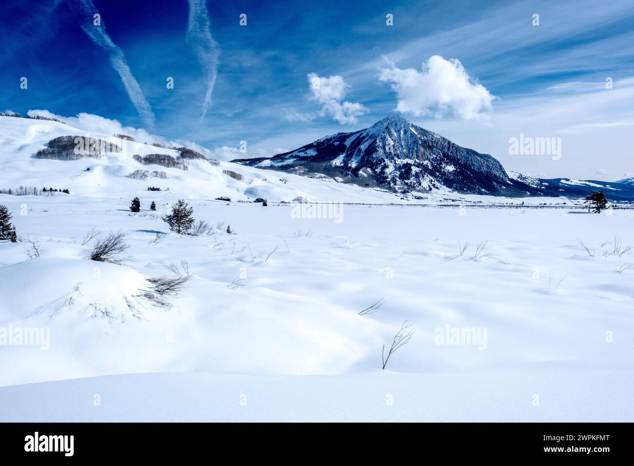 Winter snow in trees colorado hi-res stock photography and images - Alamy