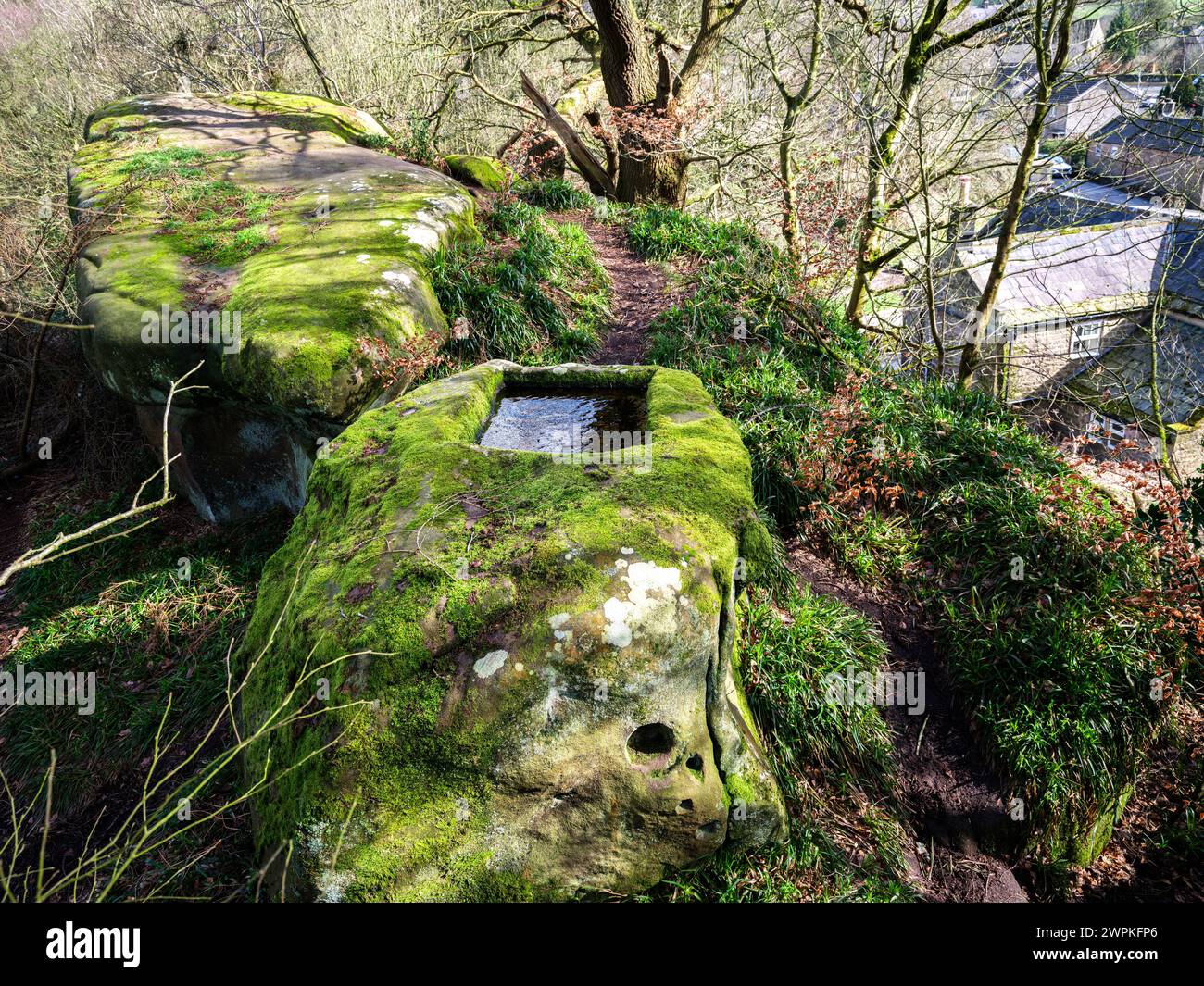 Stone trough in Rowtor Rocks above the Druid Inn Birchover Derbyshire ...