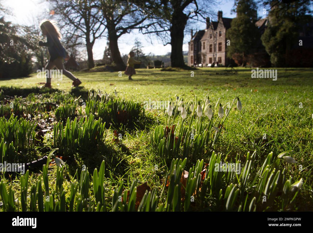 18/01/15 Surrounded by sunshine and blue skies sisters, April (3) and Belle (2) Addis, look for ...