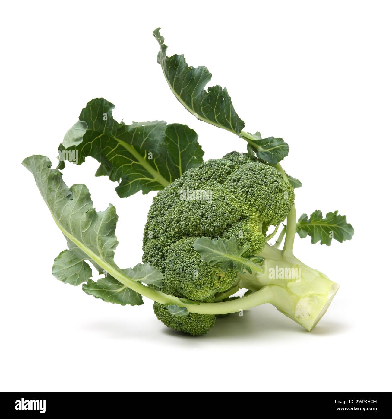 Broccoli vegetable isolated on white background Stock Photo - Alamy
