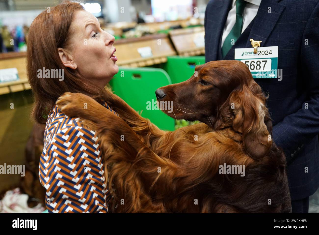 A handler with their Irish Setter on day two of the Crufts Dog Show at ...
