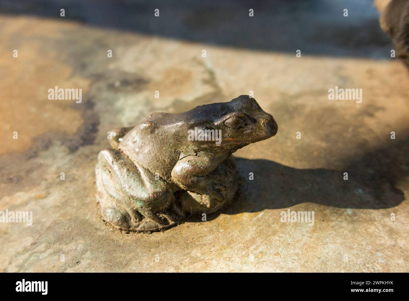 Frog detail on plinth base of The Fine Lady Statue, bronze sculpture ...