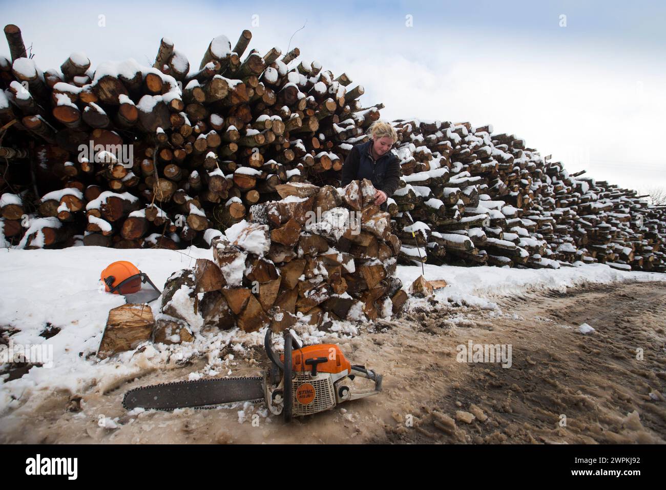 30/01/15 After heavy overnight snowfall, Verity Allen (24) prepares ...