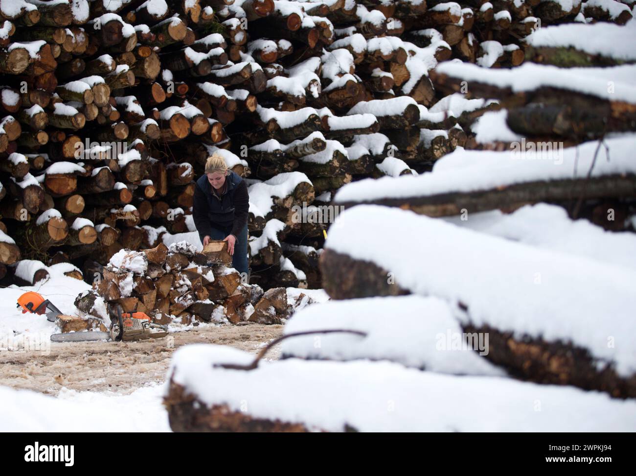 30/01/15 After heavy overnight snowfall, Verity Allen (24) prepares ...