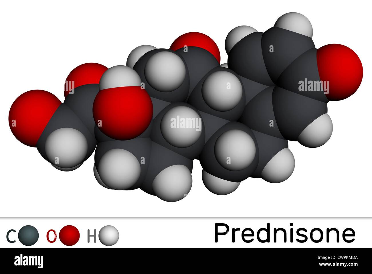 Prednisone molecule. Synthetic anti-inflammatory glucocorticoid derived ...