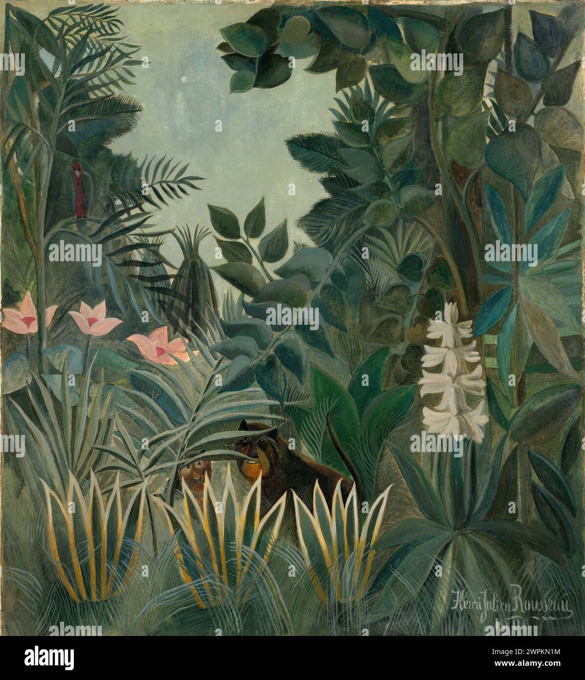 The Equatorial Jungle, 1909, National Gallery of Art, Washington, D.C ...