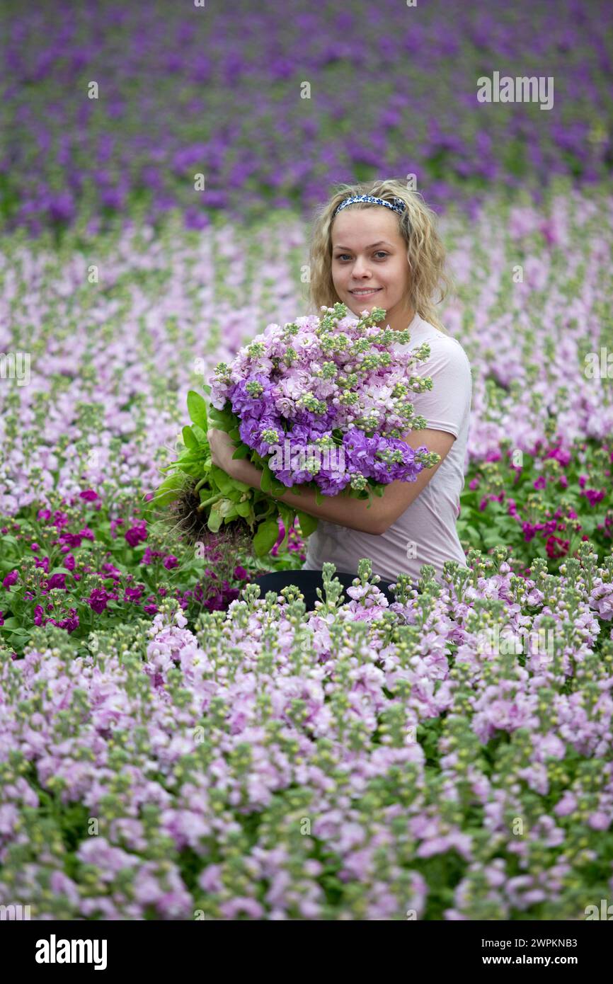 03/05/15 Production Assistant, Sanda Ubele (20) picks stocks by hand ...