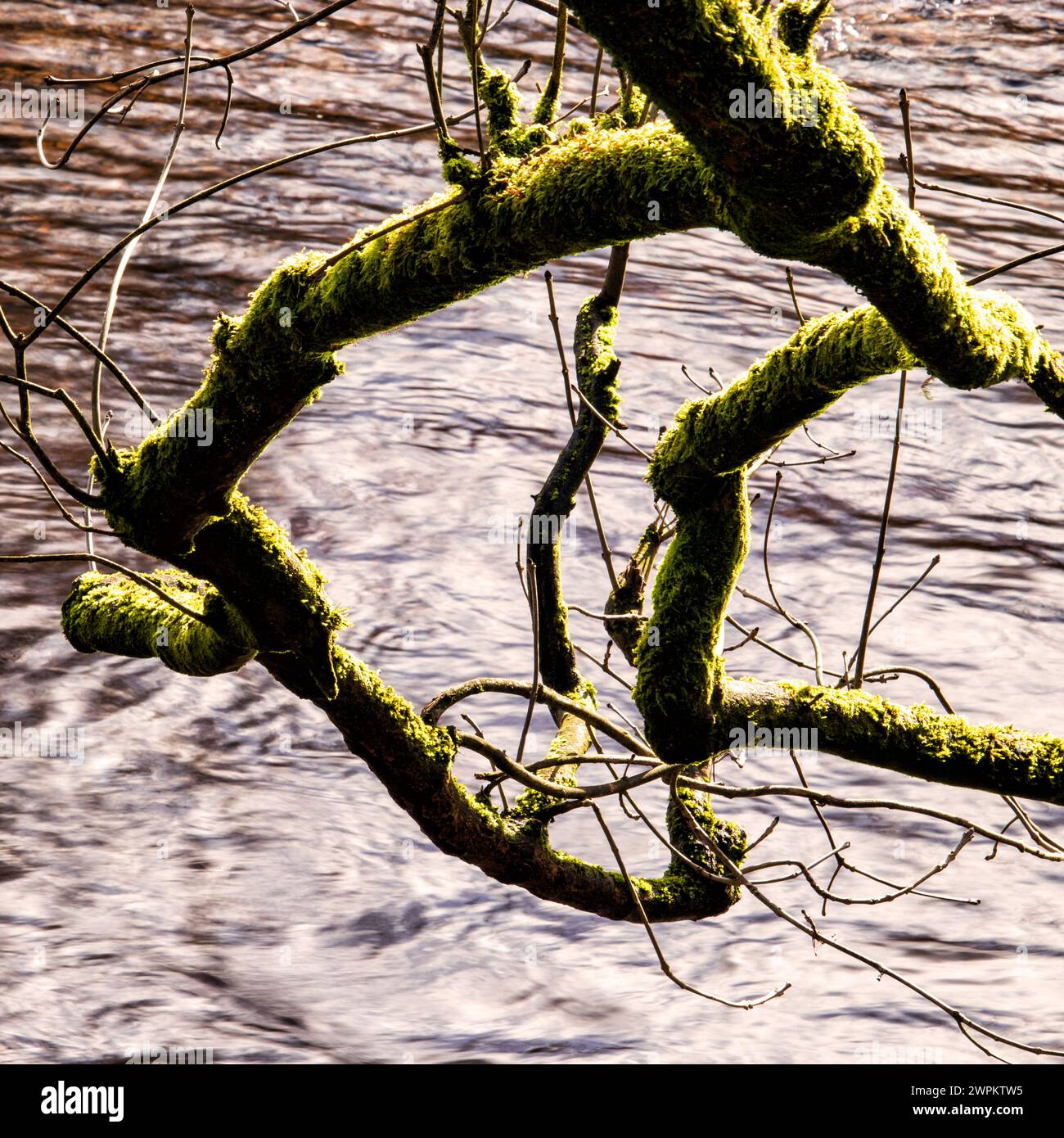 Shape suggesting hi-res stock photography and images - Alamy