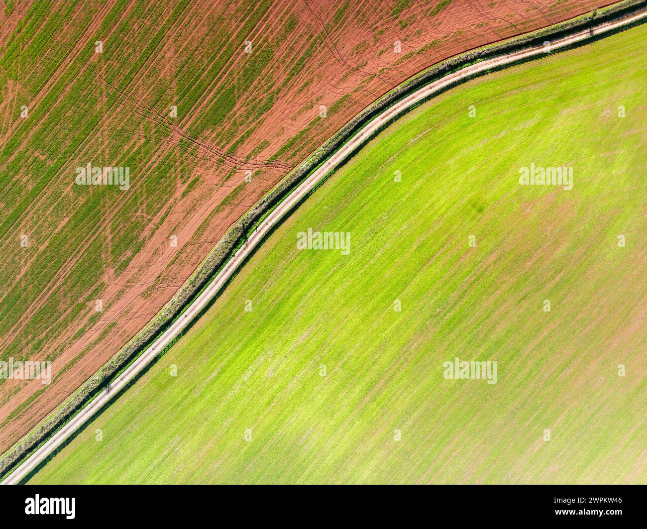 Top Down over Fields and Farms from a drone, Devon, England, Europe ...
