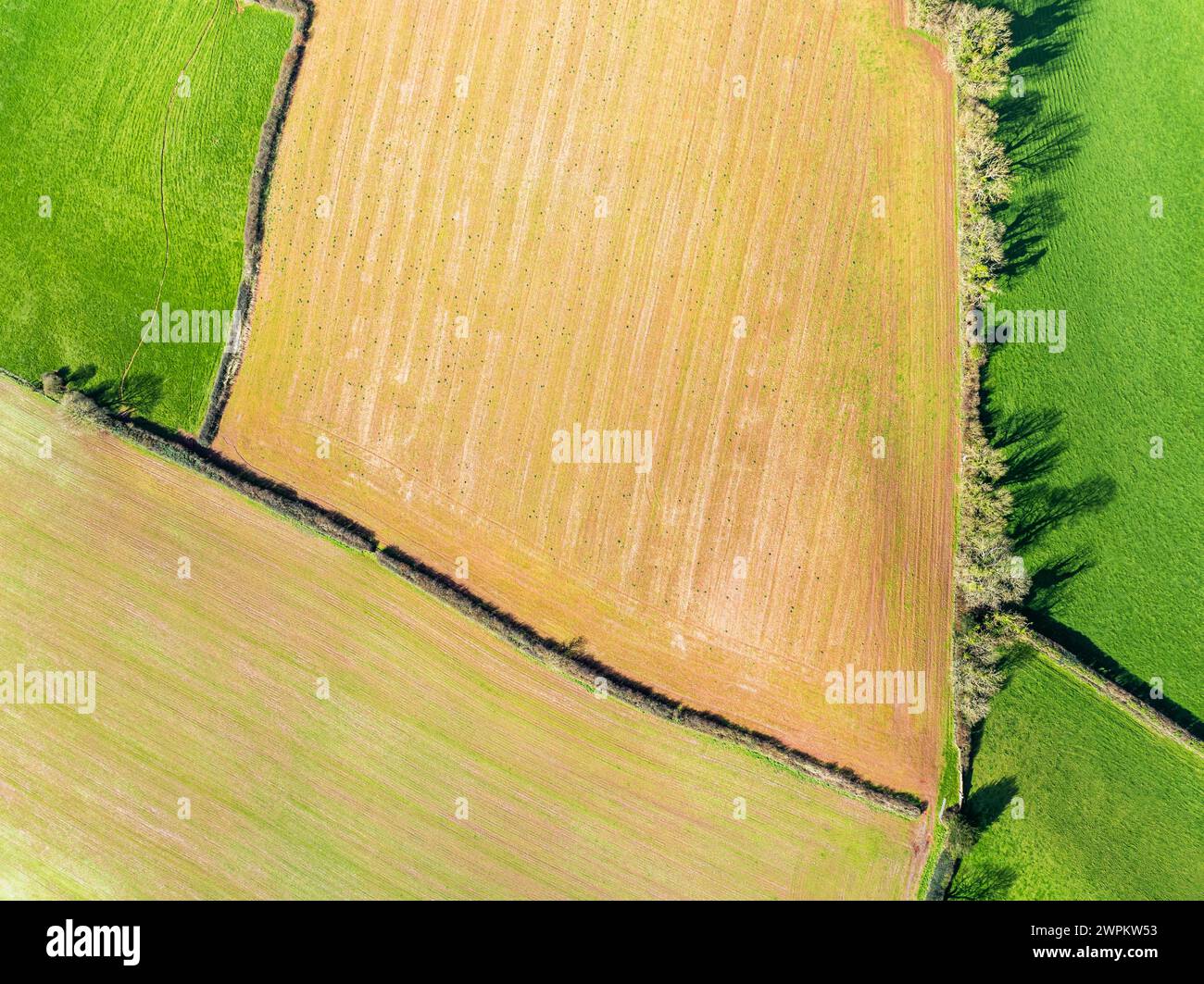 Top Down over Fields and Farms from a drone, Devon, England, Europe ...