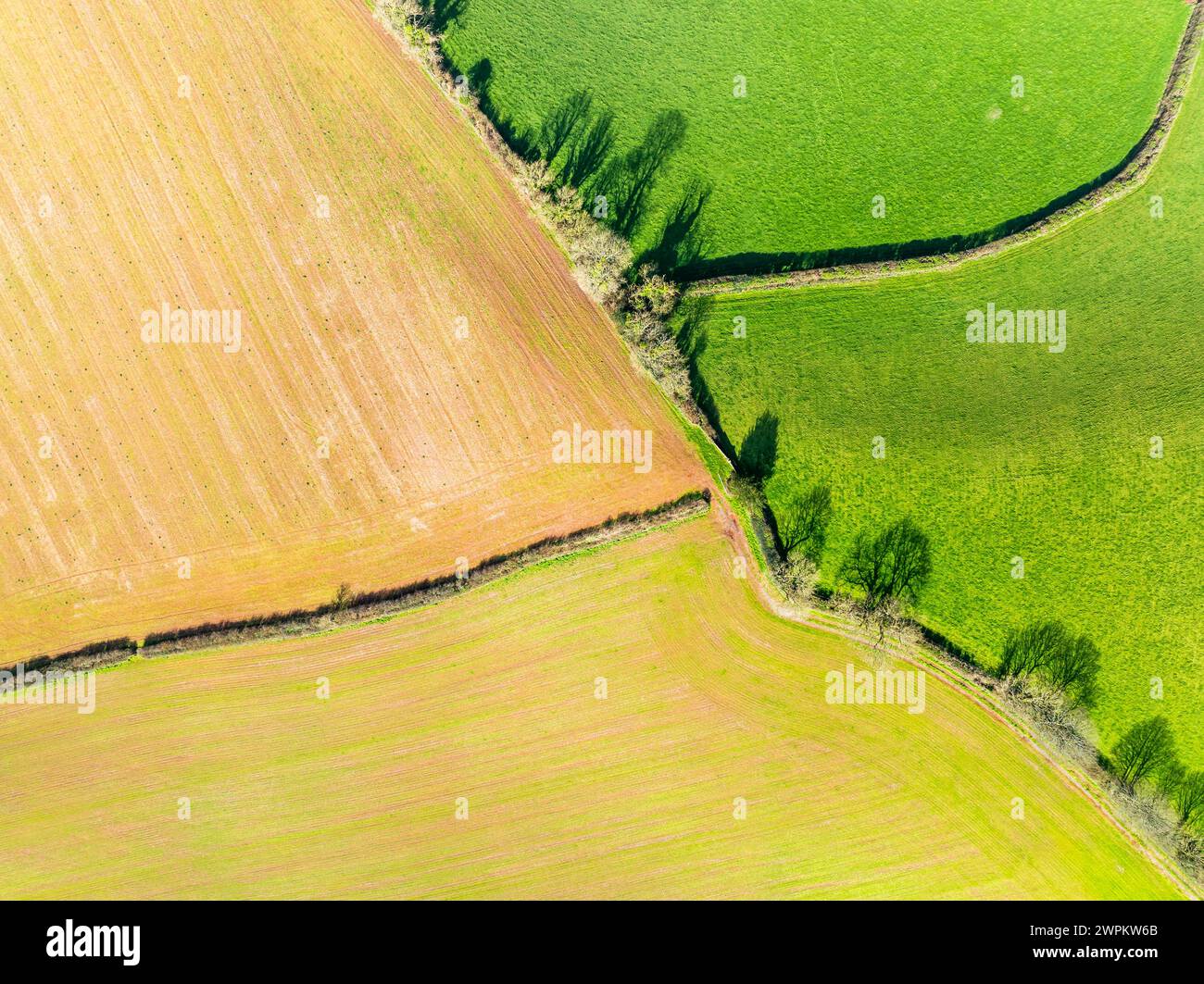 Top Down over Fields and Farms from a drone, Devon, England, Europe ...