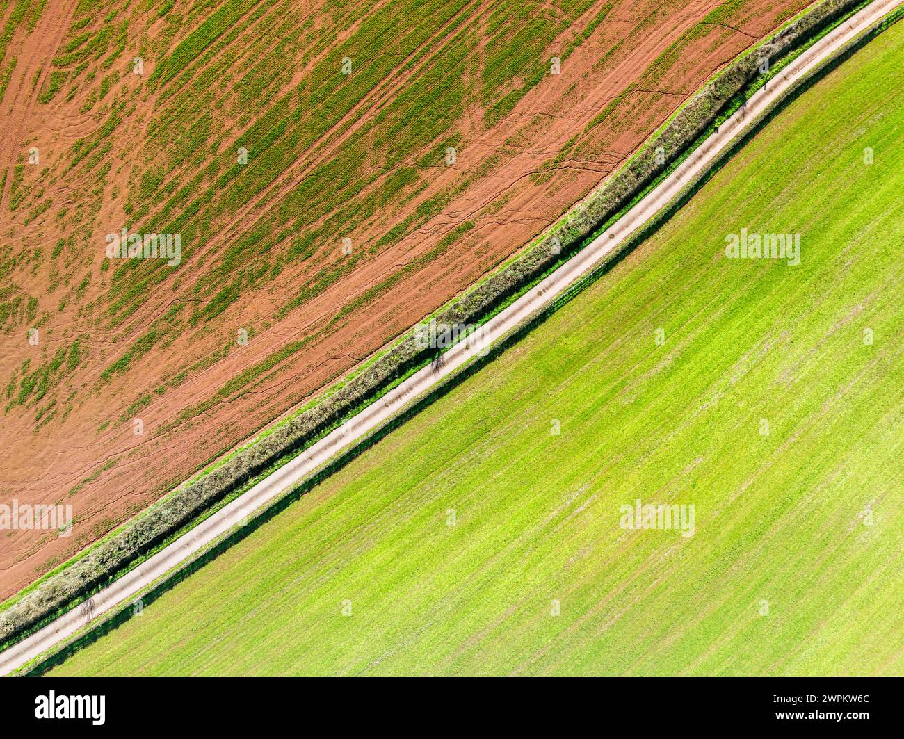Top Down over Fields and Farms from a drone, Devon, England, Europe ...
