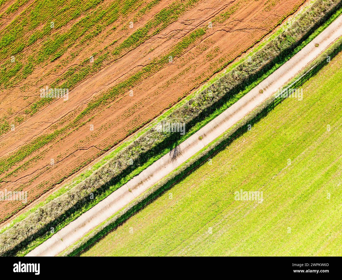 Top Down over Fields and Farms from a drone, Devon, England, Europe ...