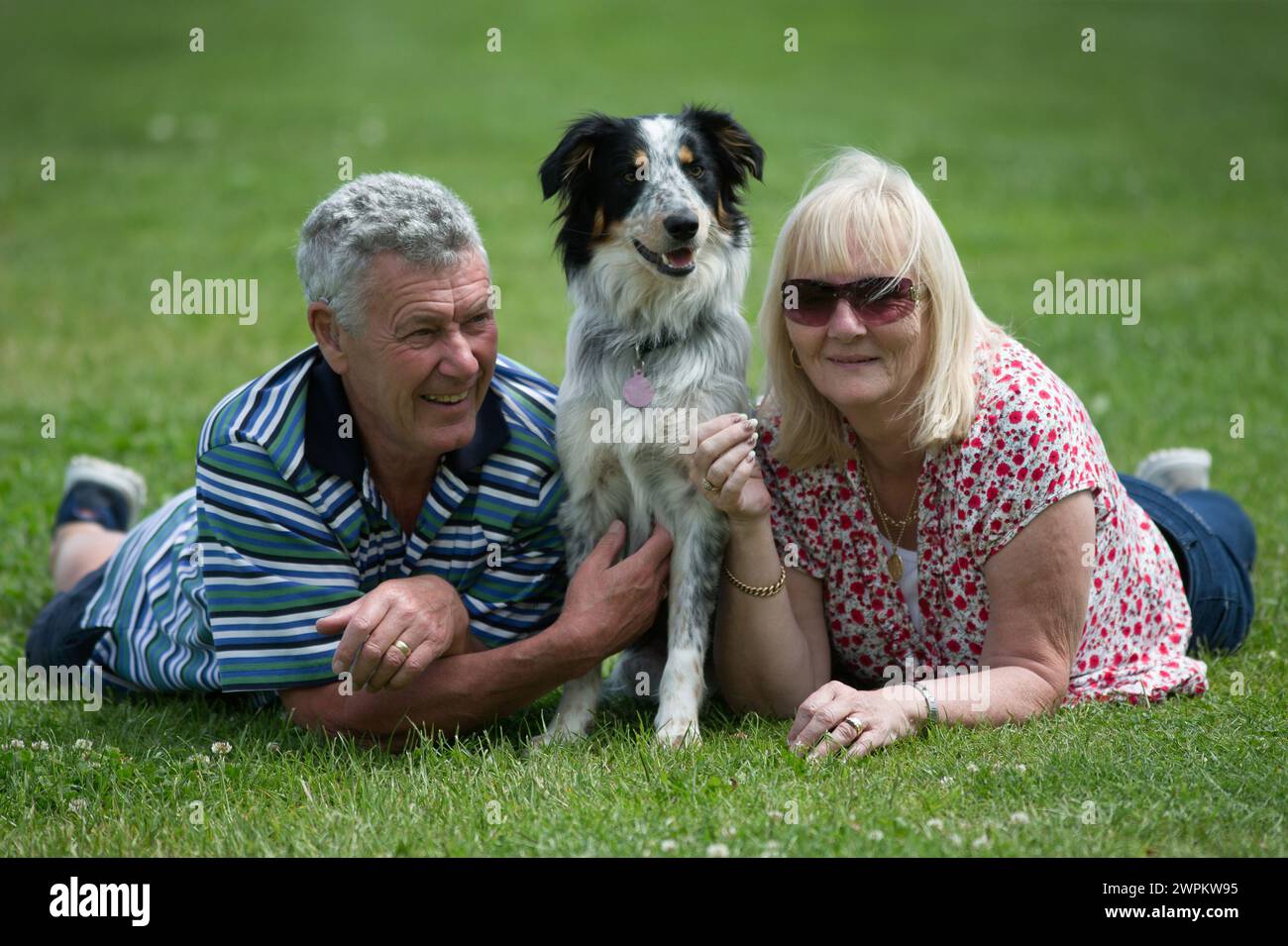 04/07/15 Hermaphrodite dog, Yumi. Full story here: http://www ...