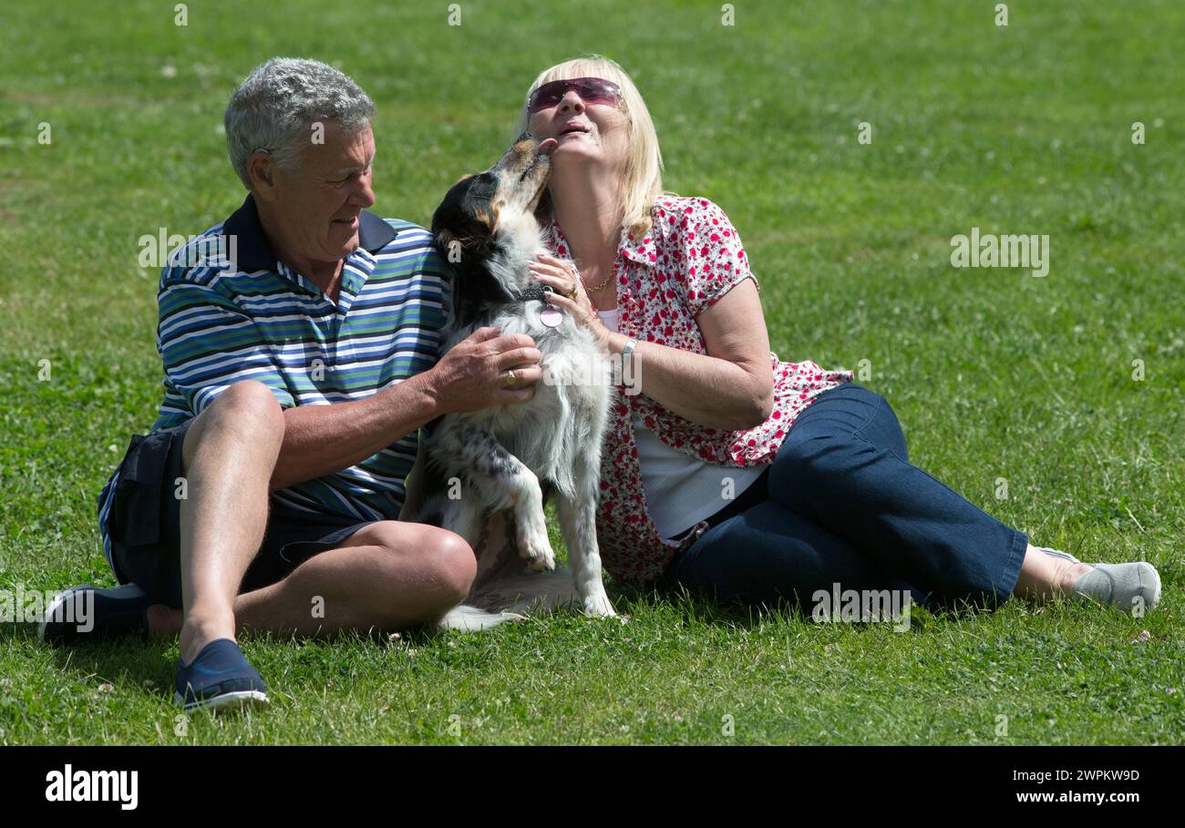 04/07/15 Hermaphrodite dog, Yumi. Full story here: http://www ...