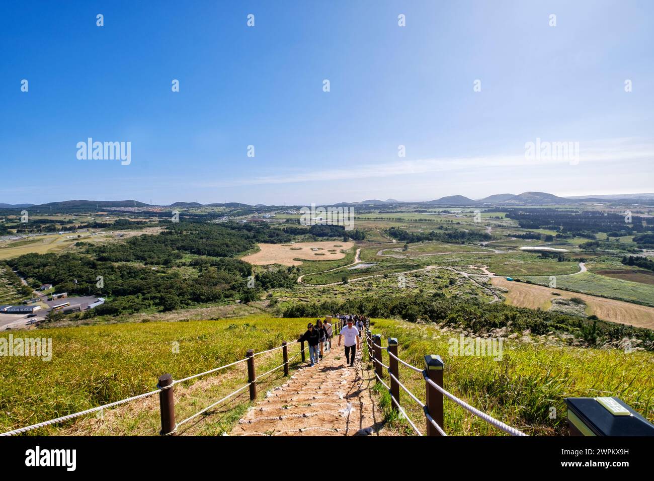 Visitors climbing up path beside silver grass growing during autumn on ...