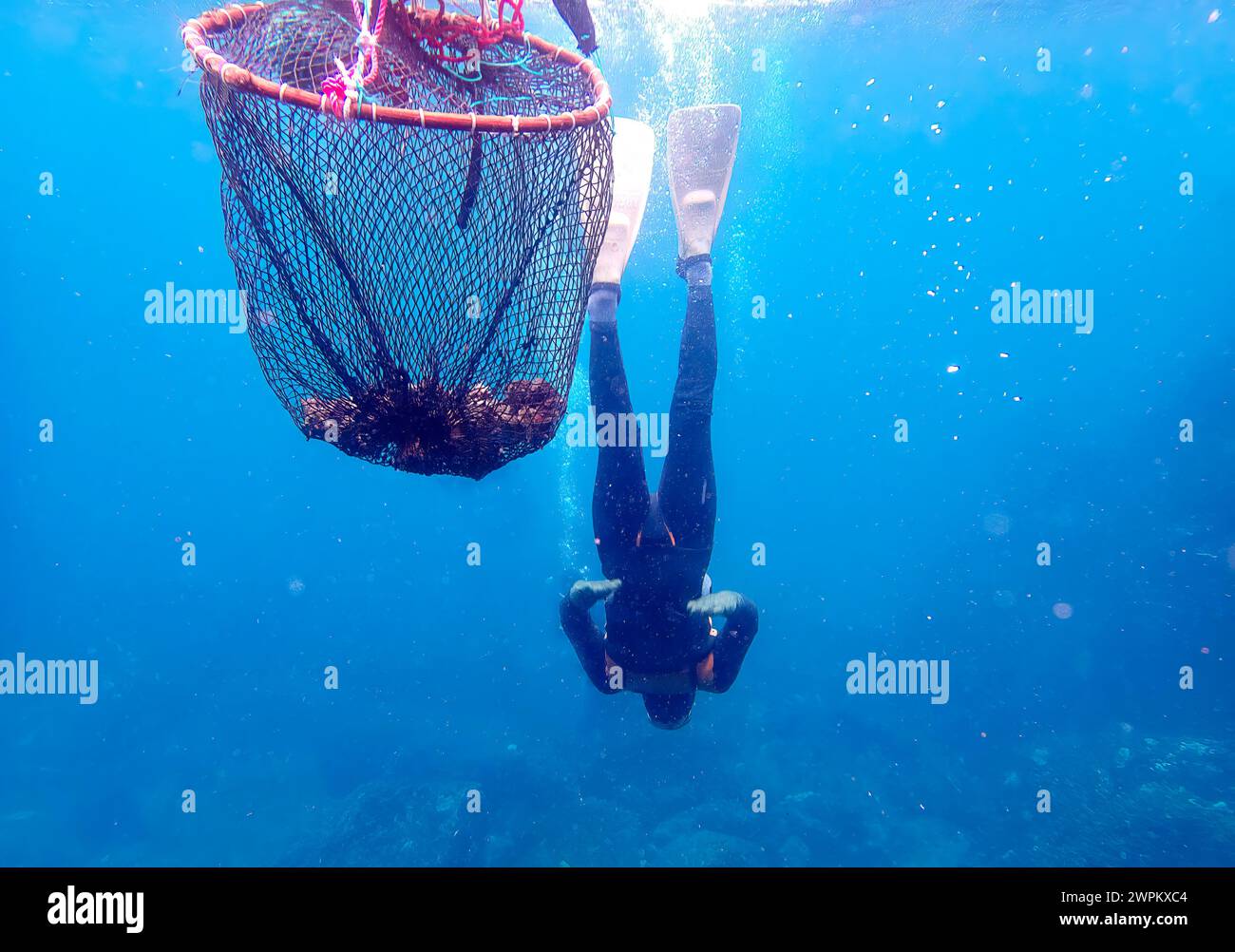 Haenyeo women, famous for diving into their eighties and holding their ...