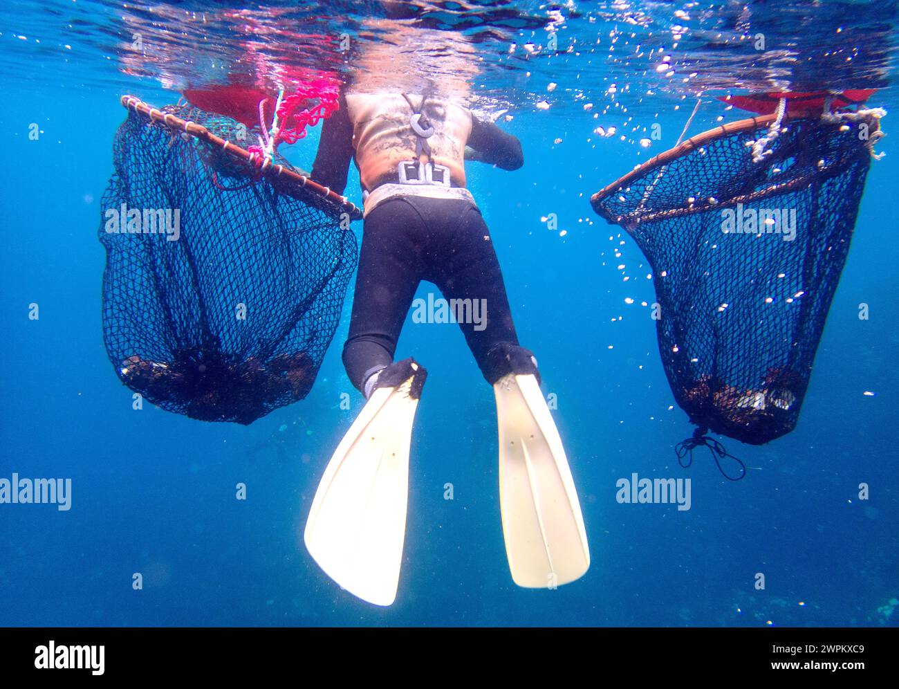 Haenyeo women, famous for diving into their eighties and holding their ...