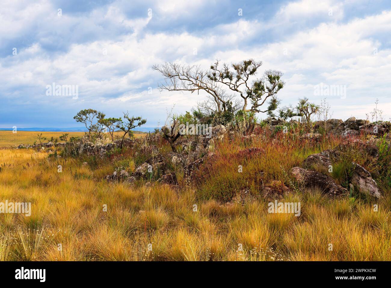 Serra da canastra hi-res stock photography and images - Alamy